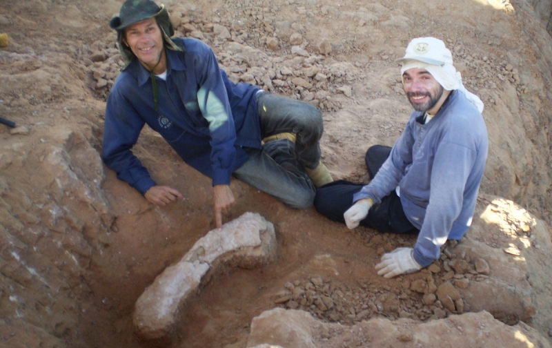Museu de Paleontologia de Marília completa 12 anos | Visão Notícias - A ...