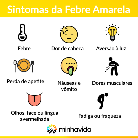 Depois da dengue, Saúde lança painel de monitoramento de febre amarela ...